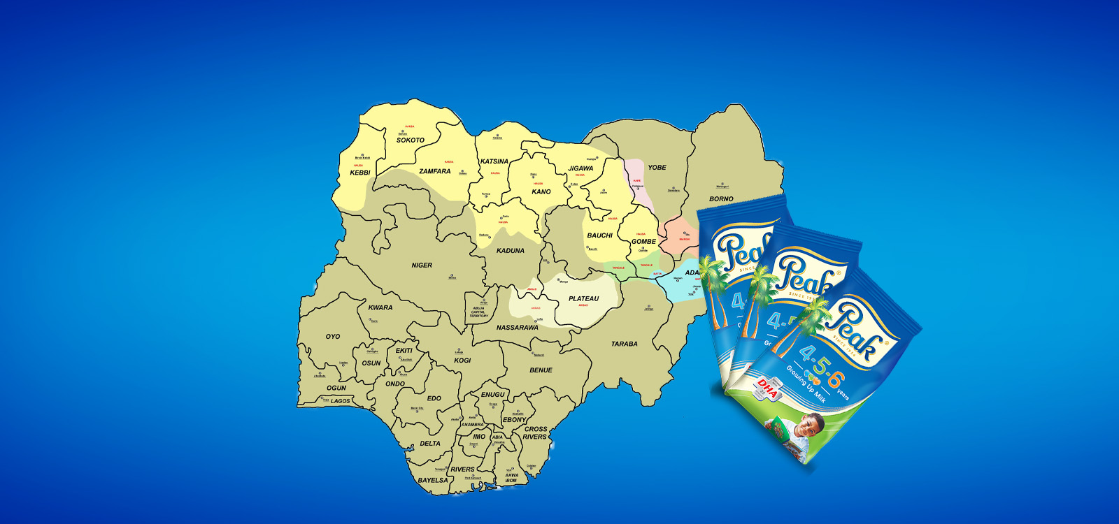 Rearrange Nigerian States And Capital Activity Sheet Peakmilk rearrange-nigerian-states-and-capital-activity-sheet-peakmilk
